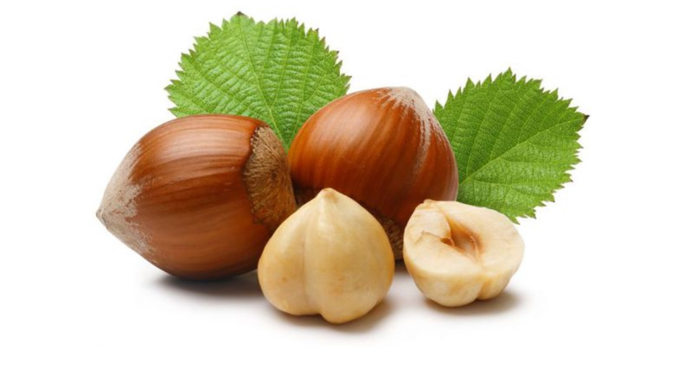 Deliciosas avellanas directamente desde el Sur de Chile - BlogDiez